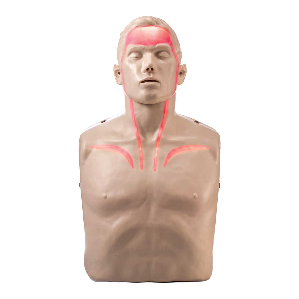 Brayden LED CPR Manikin with Blood Flow Circulation (Red Lights ...